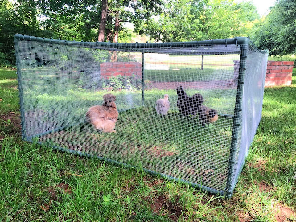 27 Free DIY Chicken Coop Plans That Beginners Can Build